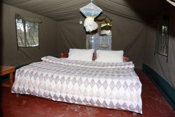Lenchada Tourist Camp Photo Gallery | Masai Mara, Kenya