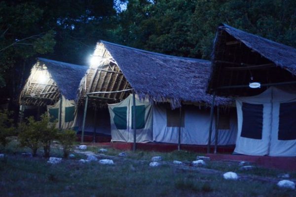 Lenchada Tourist Camp Photo Gallery | Masai Mara, Kenya