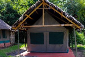 Lenchada Tourist Camp | Masai Mara Budget Accommodation | Kenya